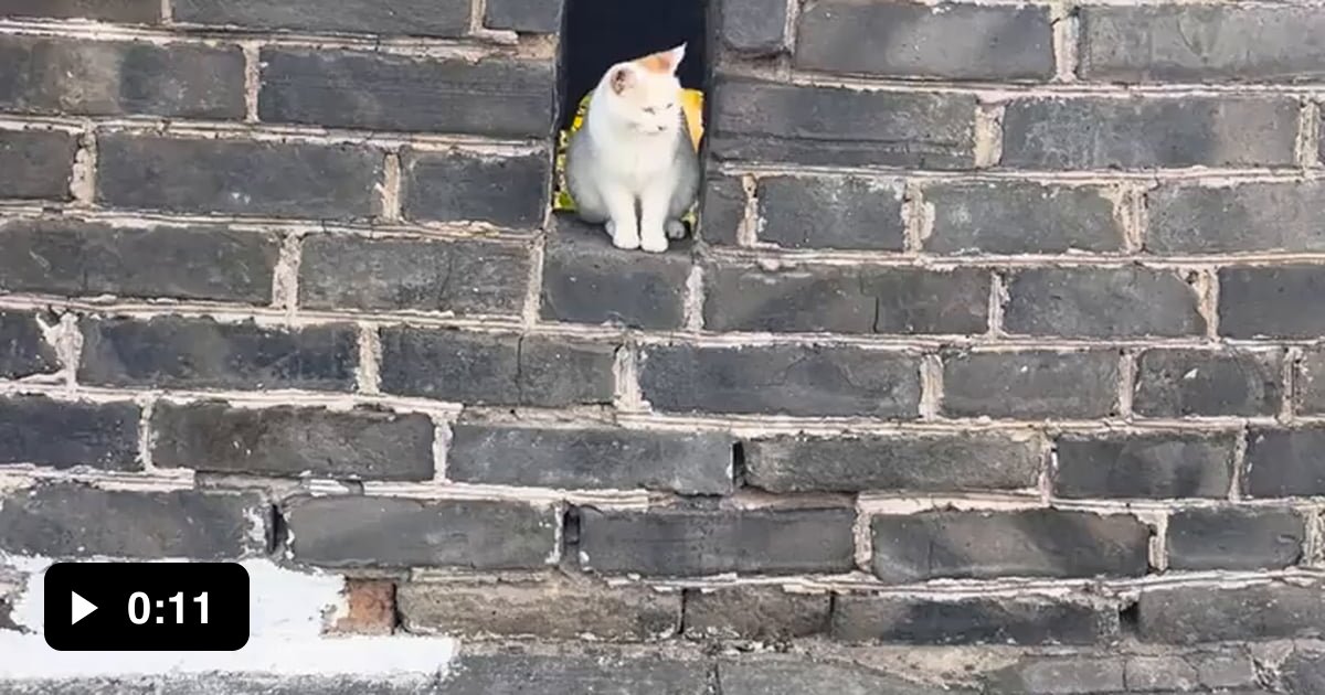 All in all it’s just another brick in the wall… - 9GAG