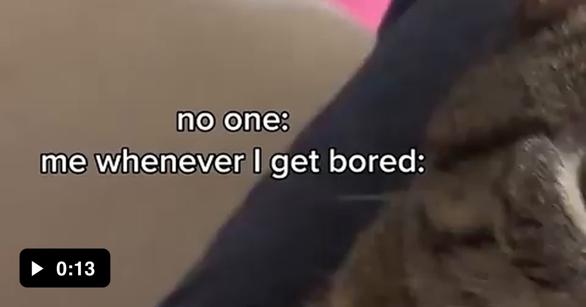 Translation: beep boop beep boop beep 01578810 brrrr brrrr - "Hello?" • "Meow meow meow, meow ...