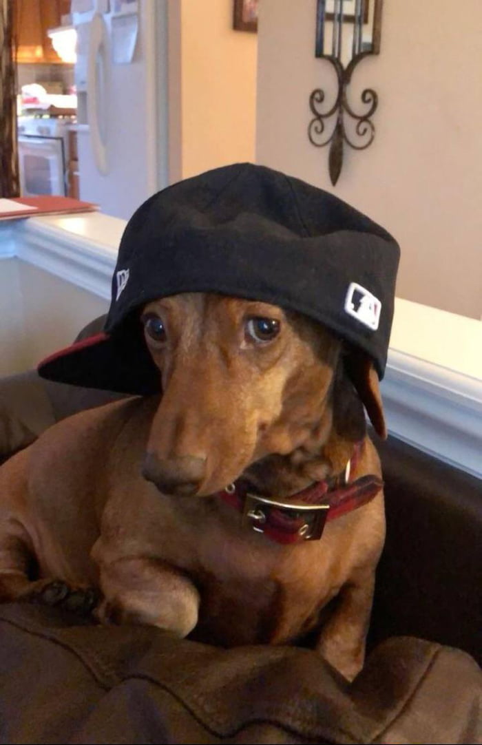 He loves his hat - 9GAG