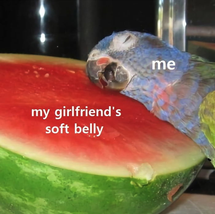 Her belly is so soft every time - 9GAG