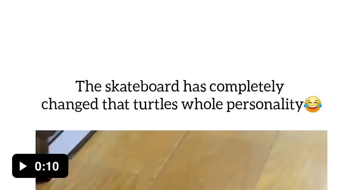 Skateboards change turtles - 9GAG