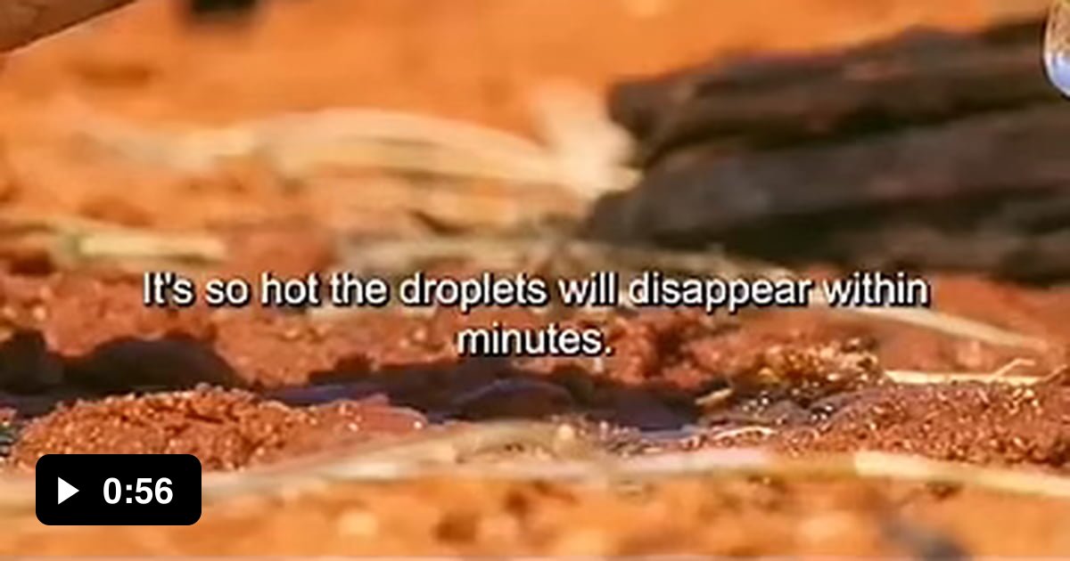 Why he gotta be so extra like bro just take a sip - 9GAG