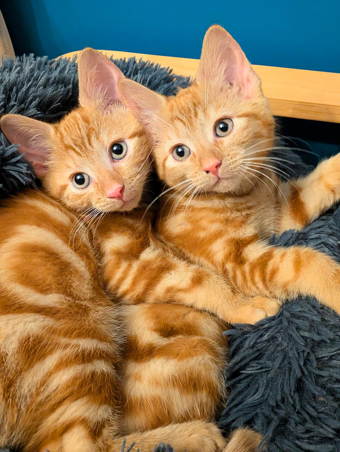 Seeing double - 9GAG