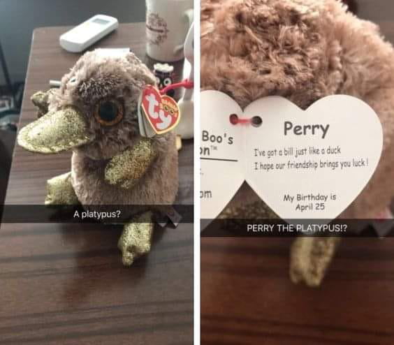 Cute Cuddly OWCA agents... - 9GAG