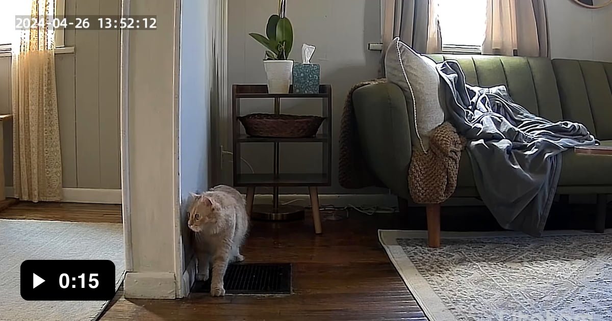 Security camera catches brutal murder - 9GAG