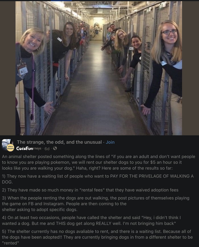 Just Play It Off. Nobody Saw a Thing. - 9GAG