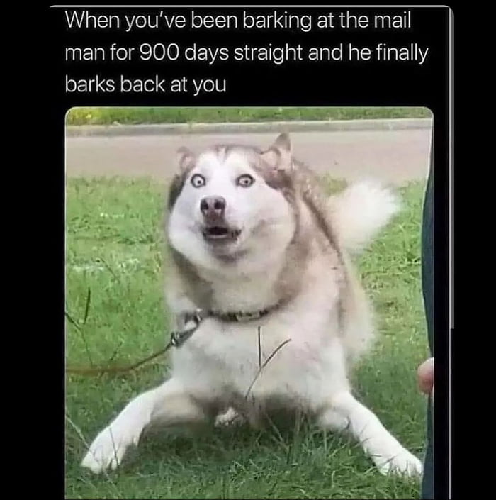 That moment of pure shock. - 9GAG