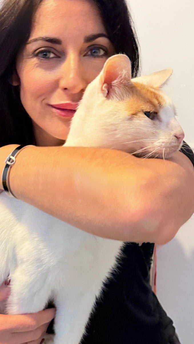 - El examen no va a ser difícil. "Identifique el gato en la imagen" - 9GAG