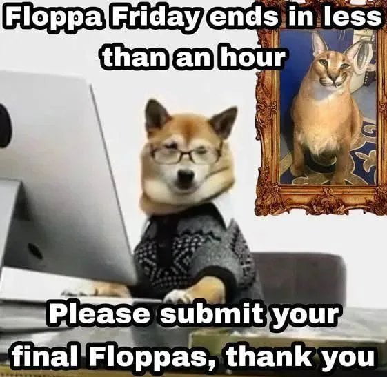 Its f**k floppa friday my dudes. - 9GAG