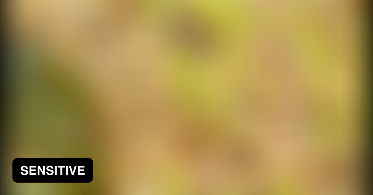 It's Wednesday my dudes. Nom nom everything. - 9GAG