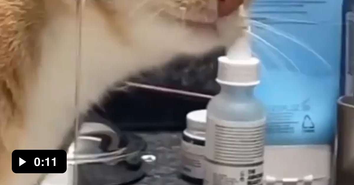 Can someone explain what's wrong? - 9GAG