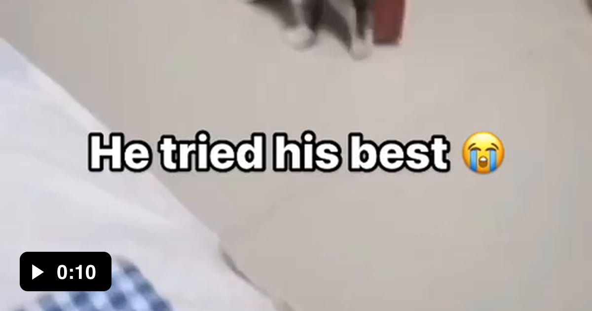 This is the cutest trap - 9GAG