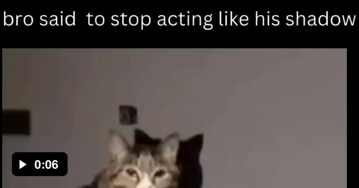 Shadow is alive - 9GAG