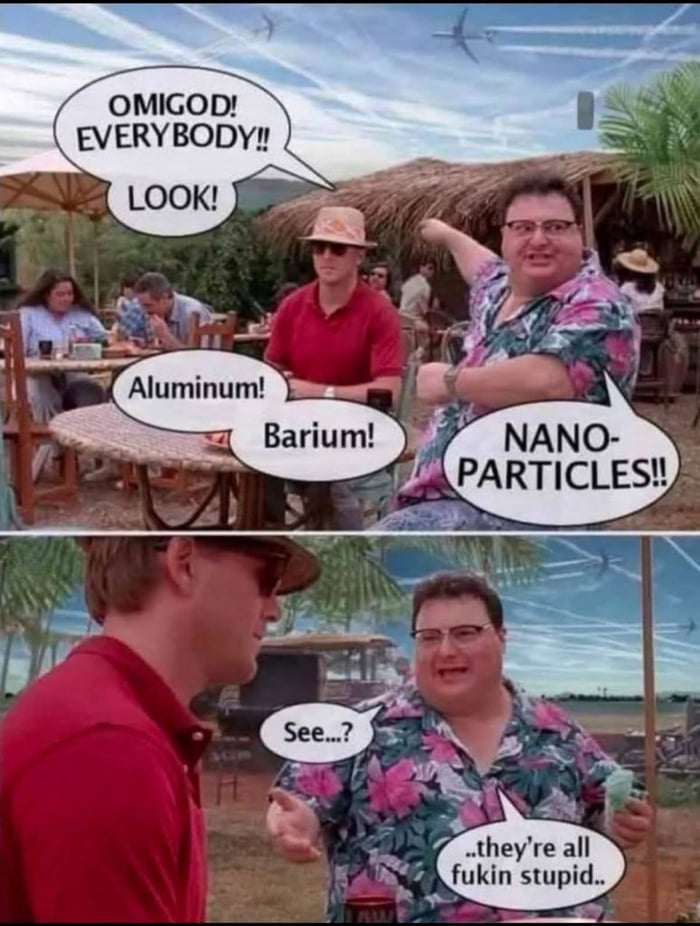Barium aluminium nano-particles... See? ALL STUPID... meme - 9GAG