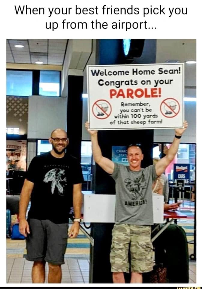 That sheep farm - 9GAG