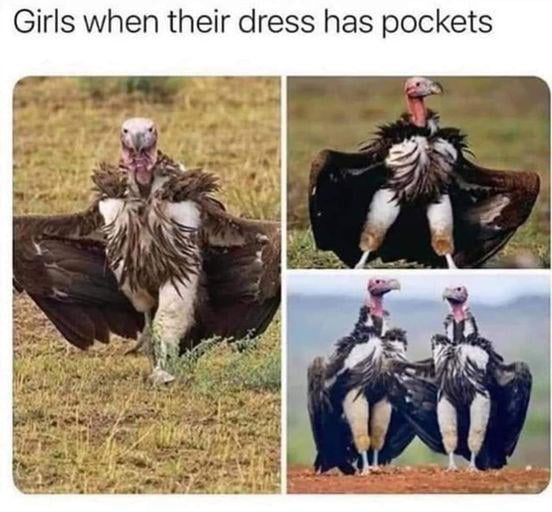 Look look! It has POCKETS! - 9GAG