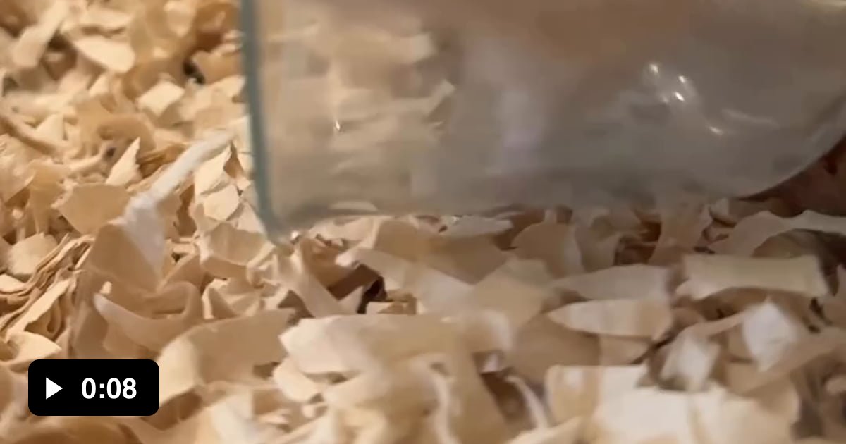 No title necessary - 9GAG