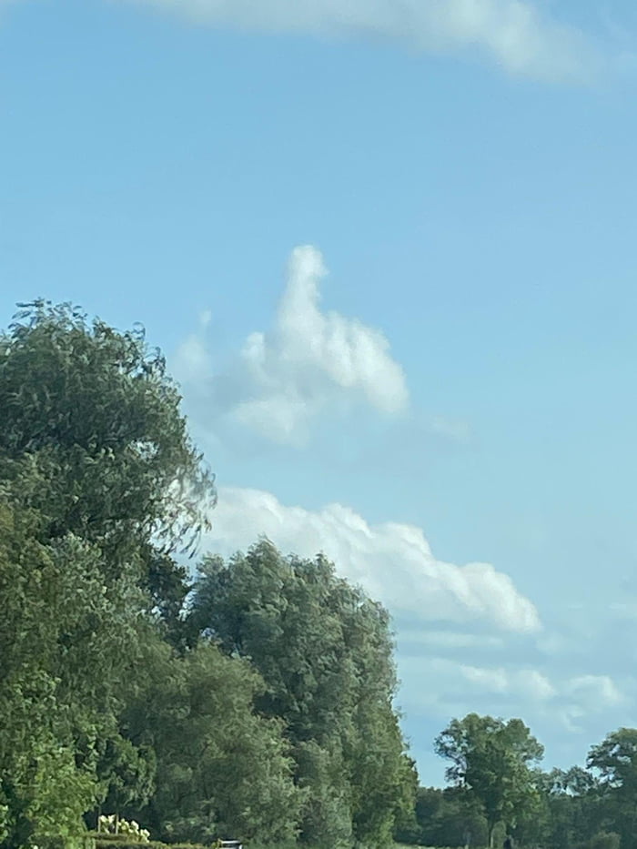 For real, Sky? - 9GAG