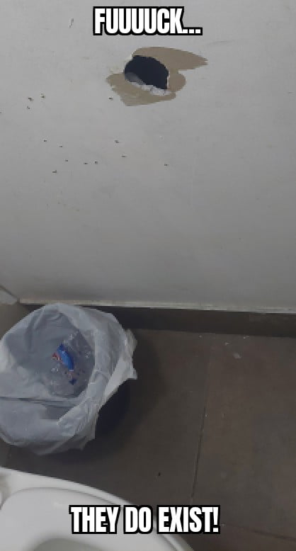 Slowly unzip my pants.... - 9GAG