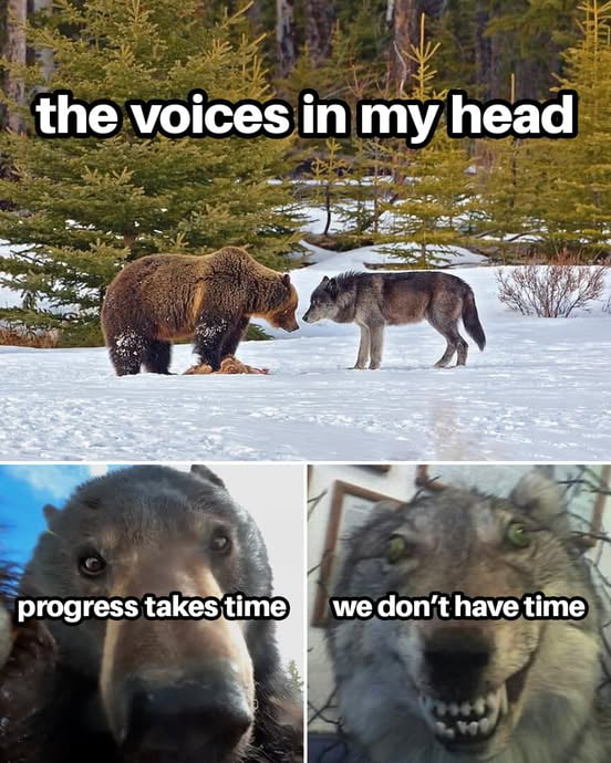 Repost ?? And no, it's not a meme, it's real life... mine. - 9GAG