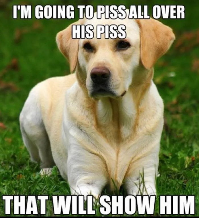 Bring back memes - 9GAG