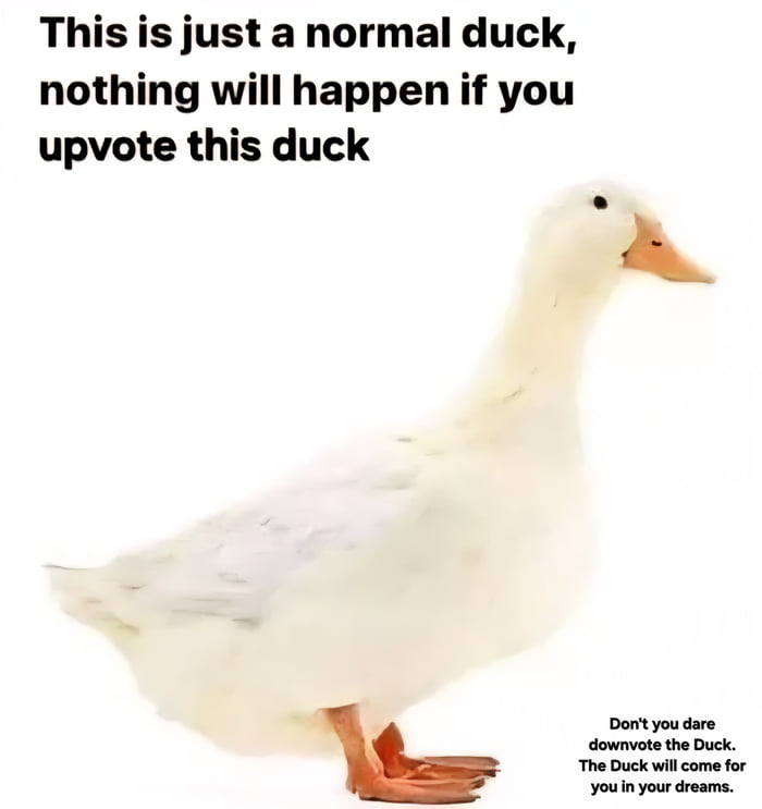 Just to be on the duck side. - 9GAG