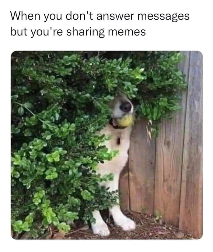 Me avoiding responsibilities but still sending memes - 9GAG