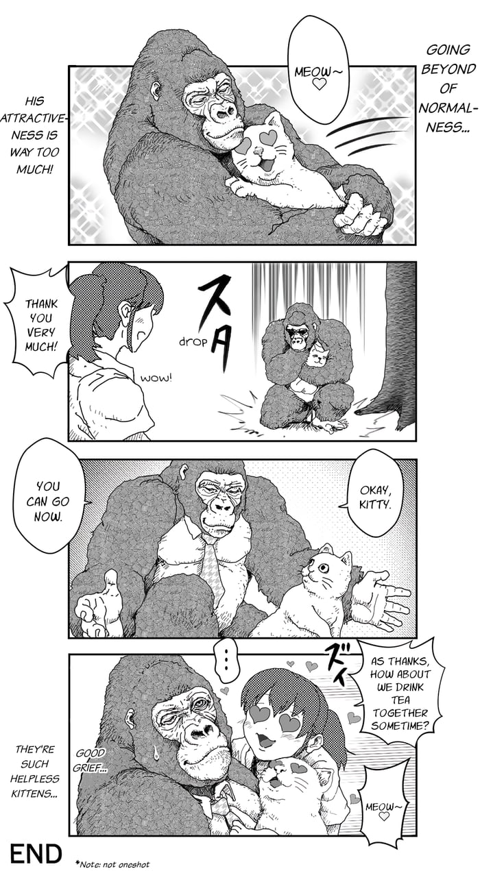 An Extremely Attractive Gorilla - 9GAG