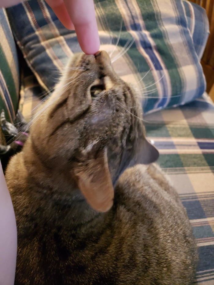 The Creation of Adam (5 bc, colorised) - 9GAG