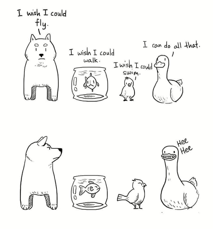 All hail ducks and geese - 9GAG