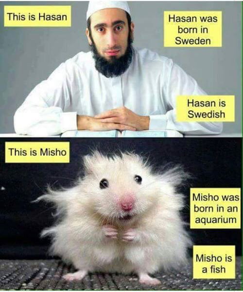 A mouse born in a stable isn't a horse as well - 9GAG