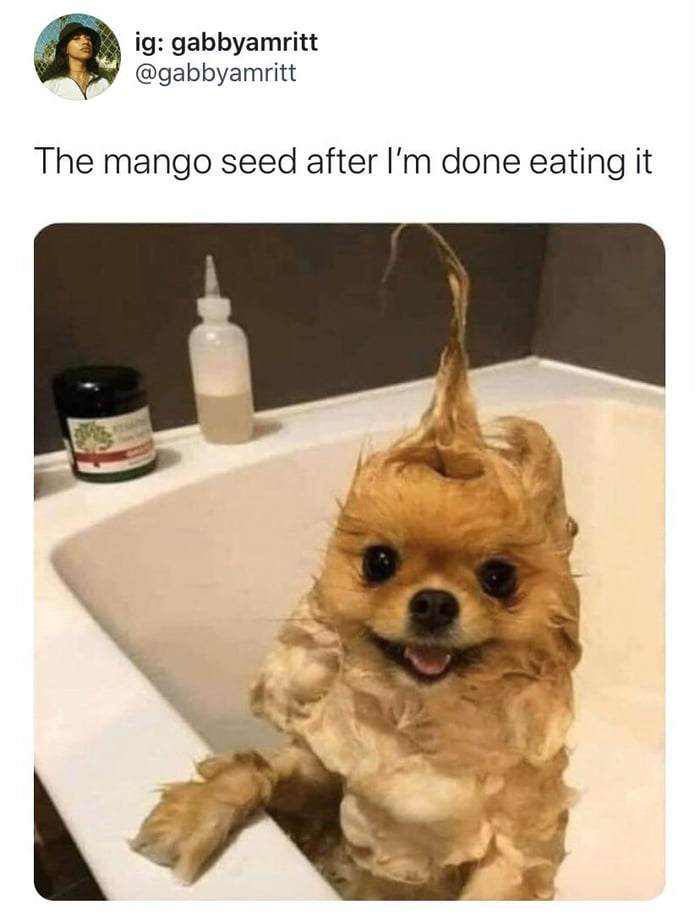 Mango seed - 9GAG