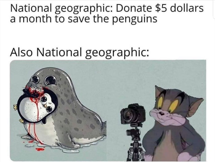 Save the penguins - 9GAG
