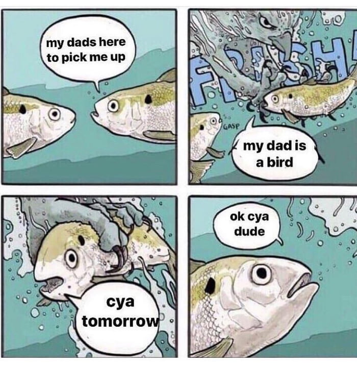 Seems normal to me - 9GAG