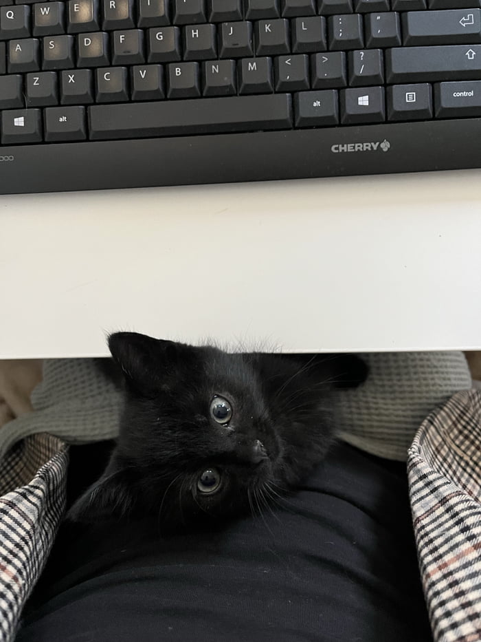 Smol black void Nolan. Show me your favorite colleague. - 9GAG