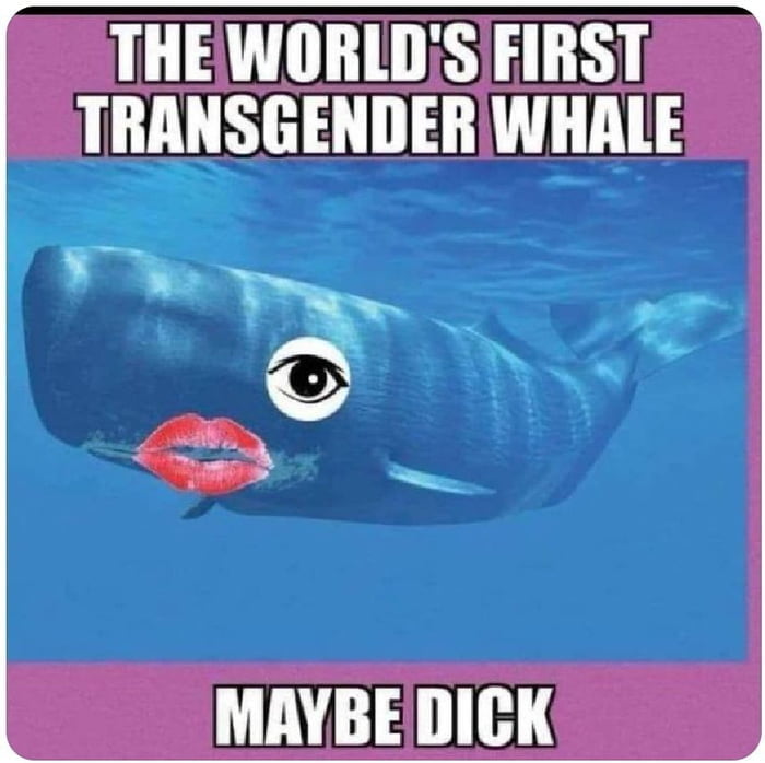 A big one then. - 9GAG