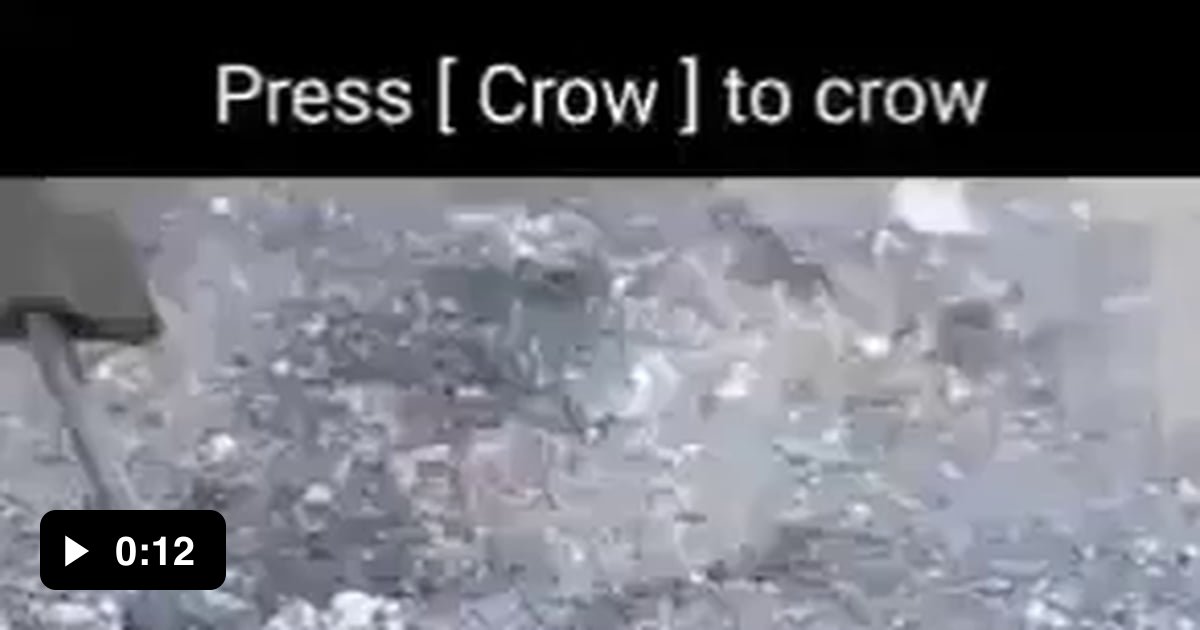 Press Crow to Crow - 9GAG