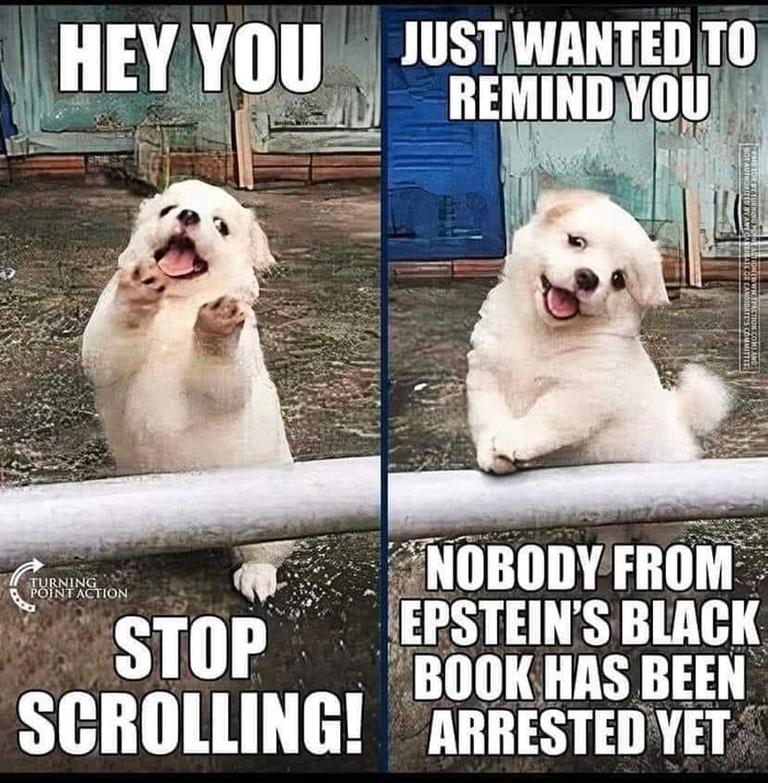 Monthly reminder for the important things in life, more info in my previous post - 9GAG