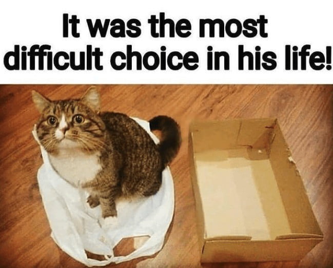 Difficult decision - 9GAG