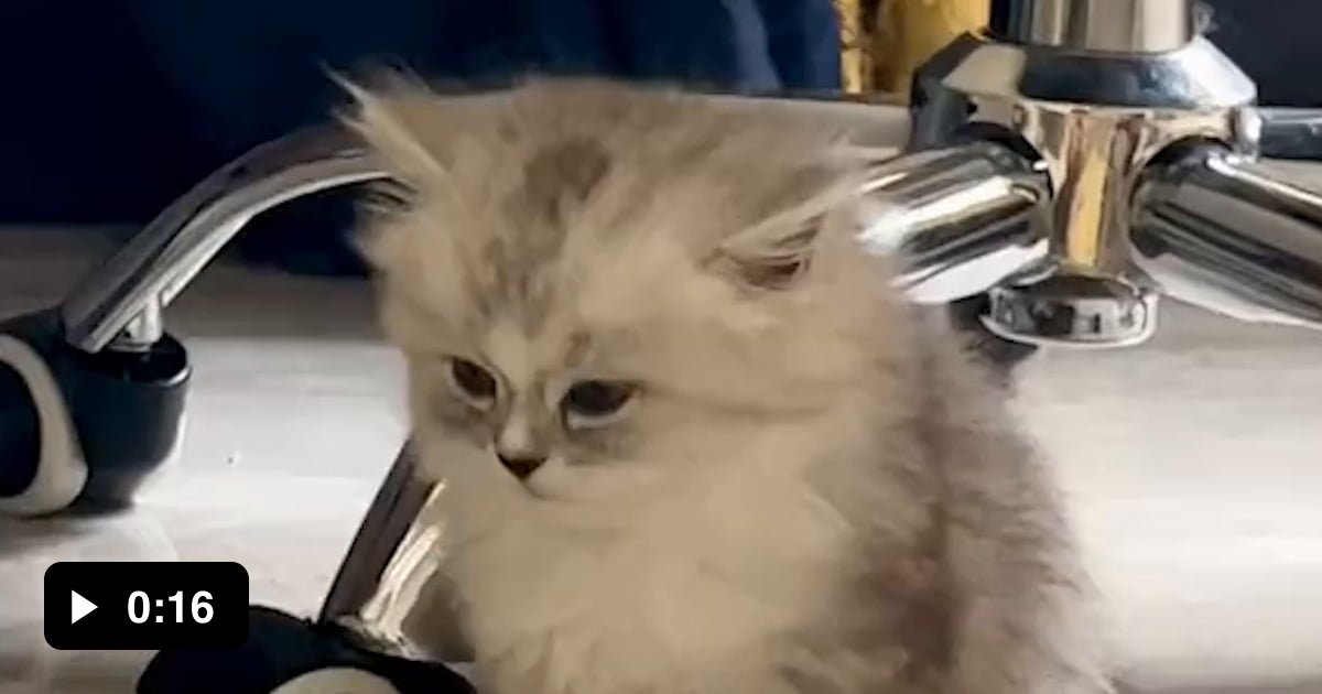 Trying to stay awake - 9GAG