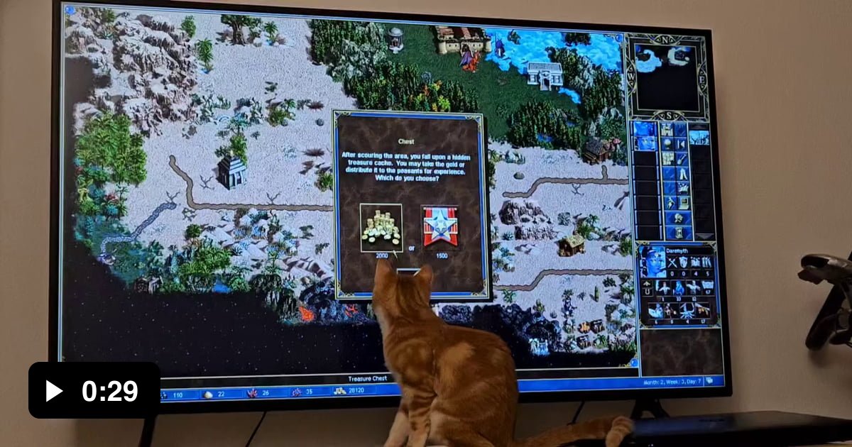 Little apprentice. Credits to Octavian Apostol - 9GAG