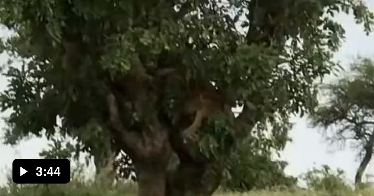 I barely made it - 9GAG