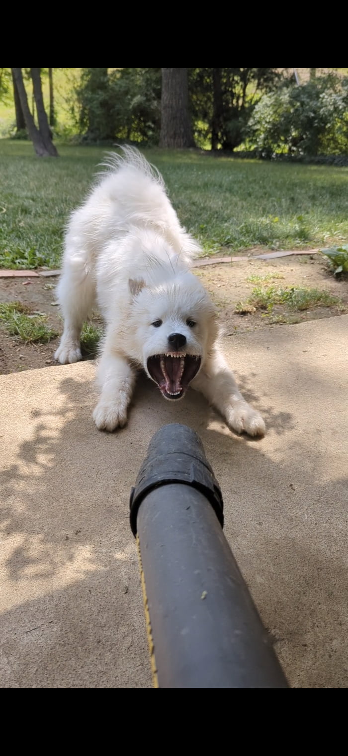 Cloud getting blown away - 9GAG