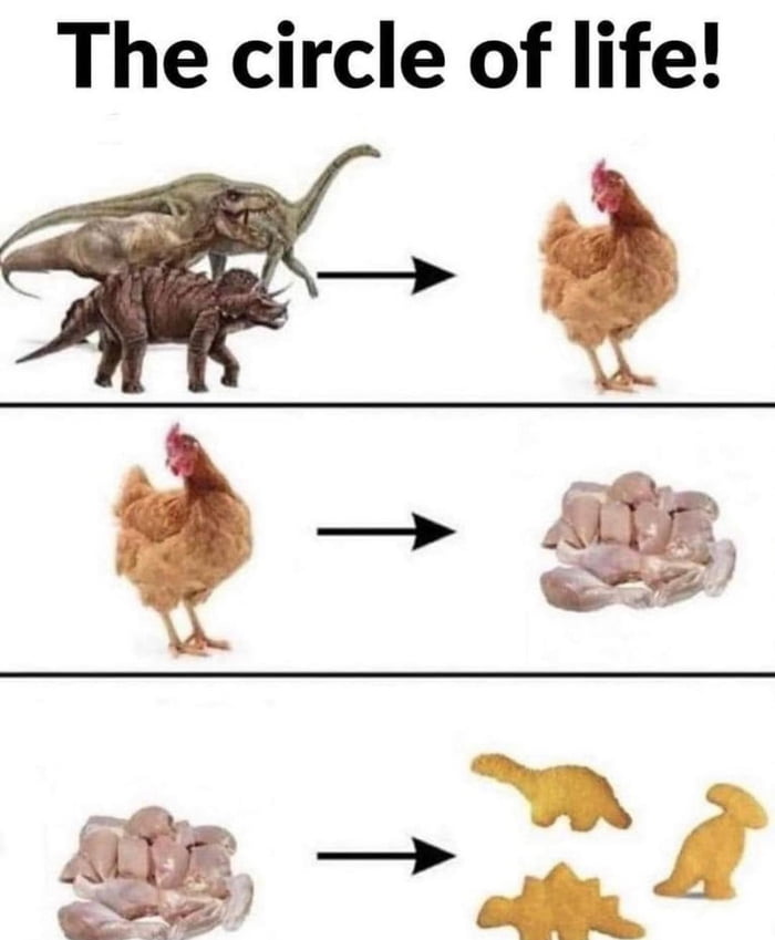 The circle of life - 9GAG