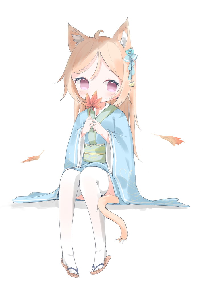 Kimmono Kitten - 9GAG