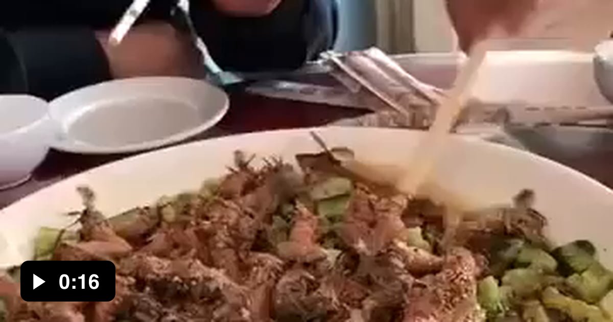 Moth. It's whats for dinner. - 9GAG