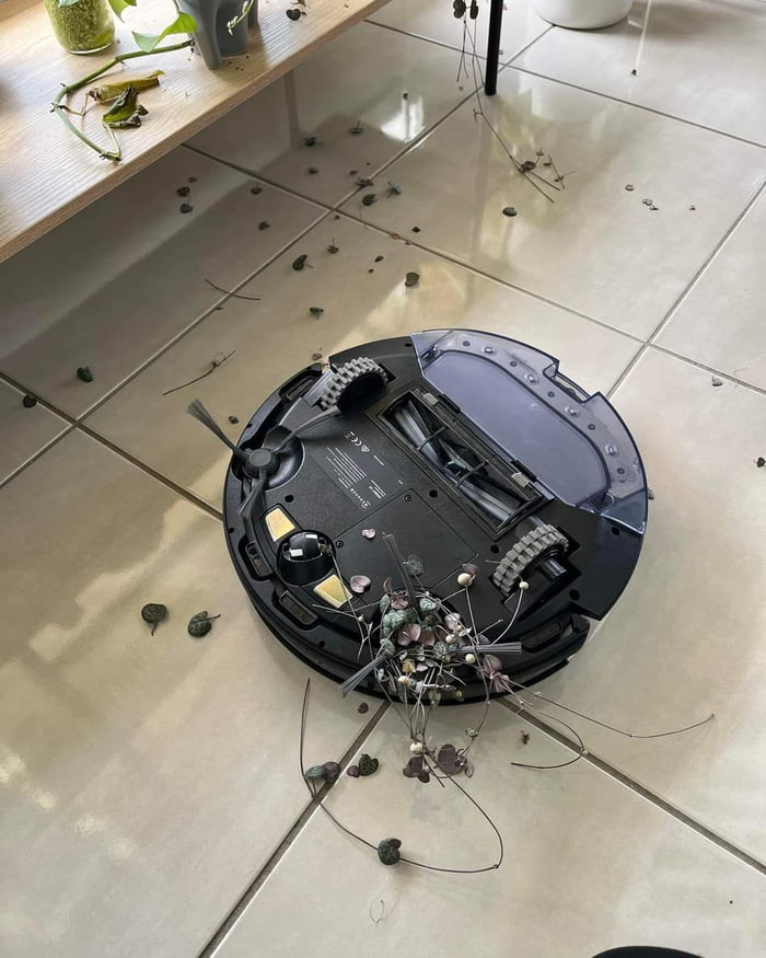 Plant vs Roomba ... - 9GAG