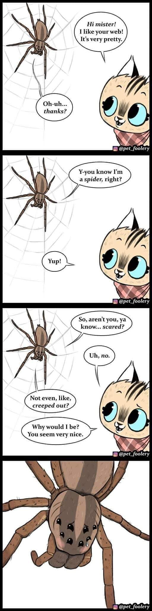 Spiders are good - 9GAG