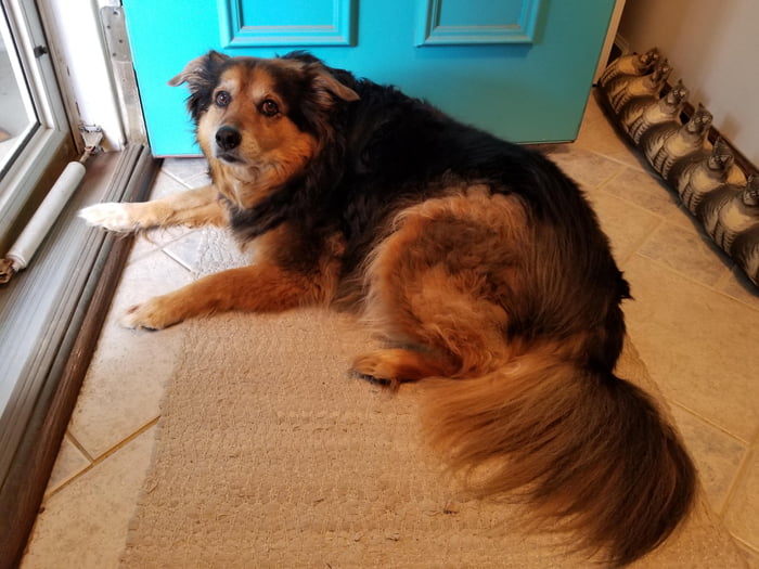 He’s so sad - 9GAG