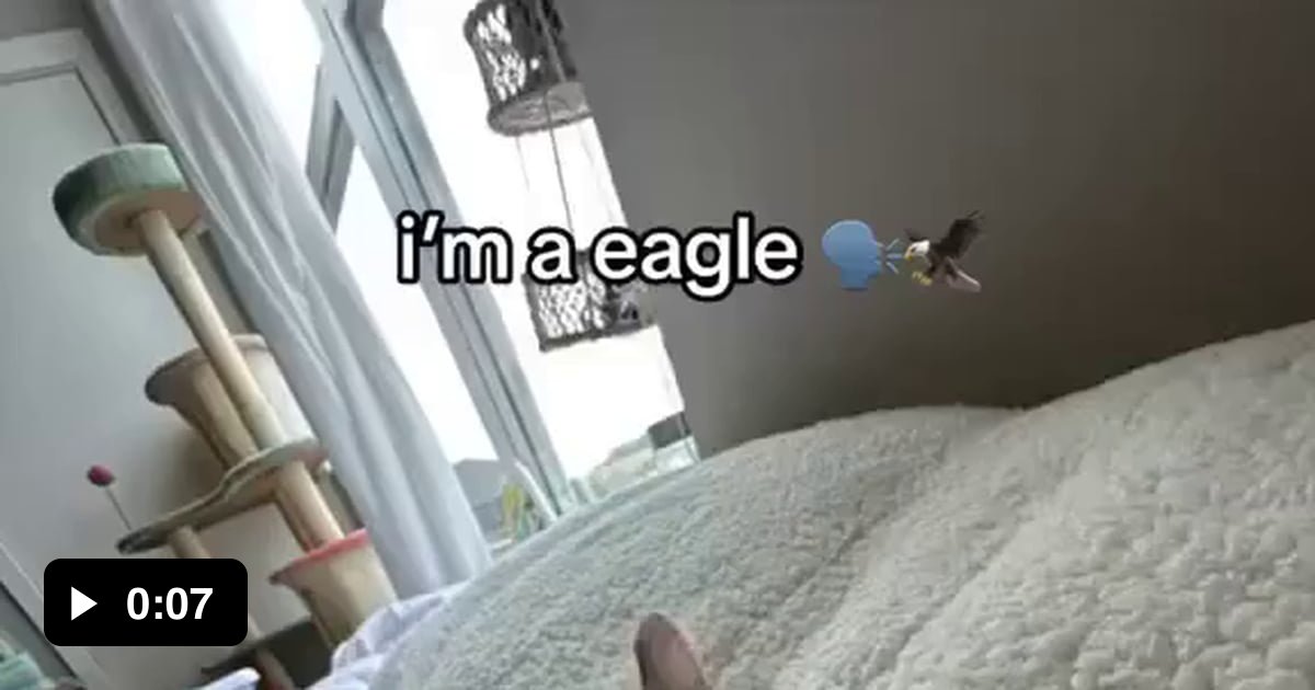 Youre not a eagle - 9GAG